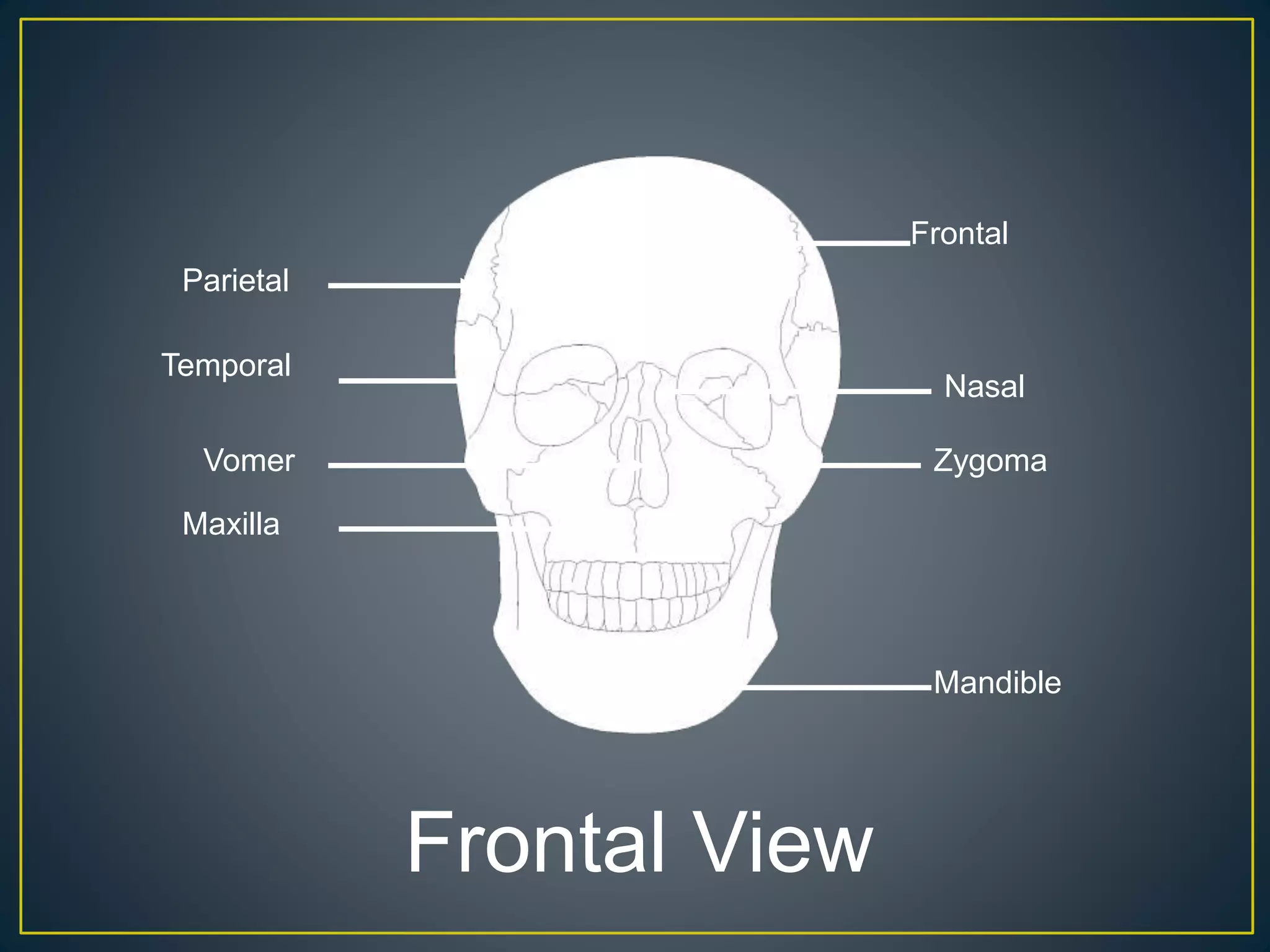 Skull fractures | PPTX