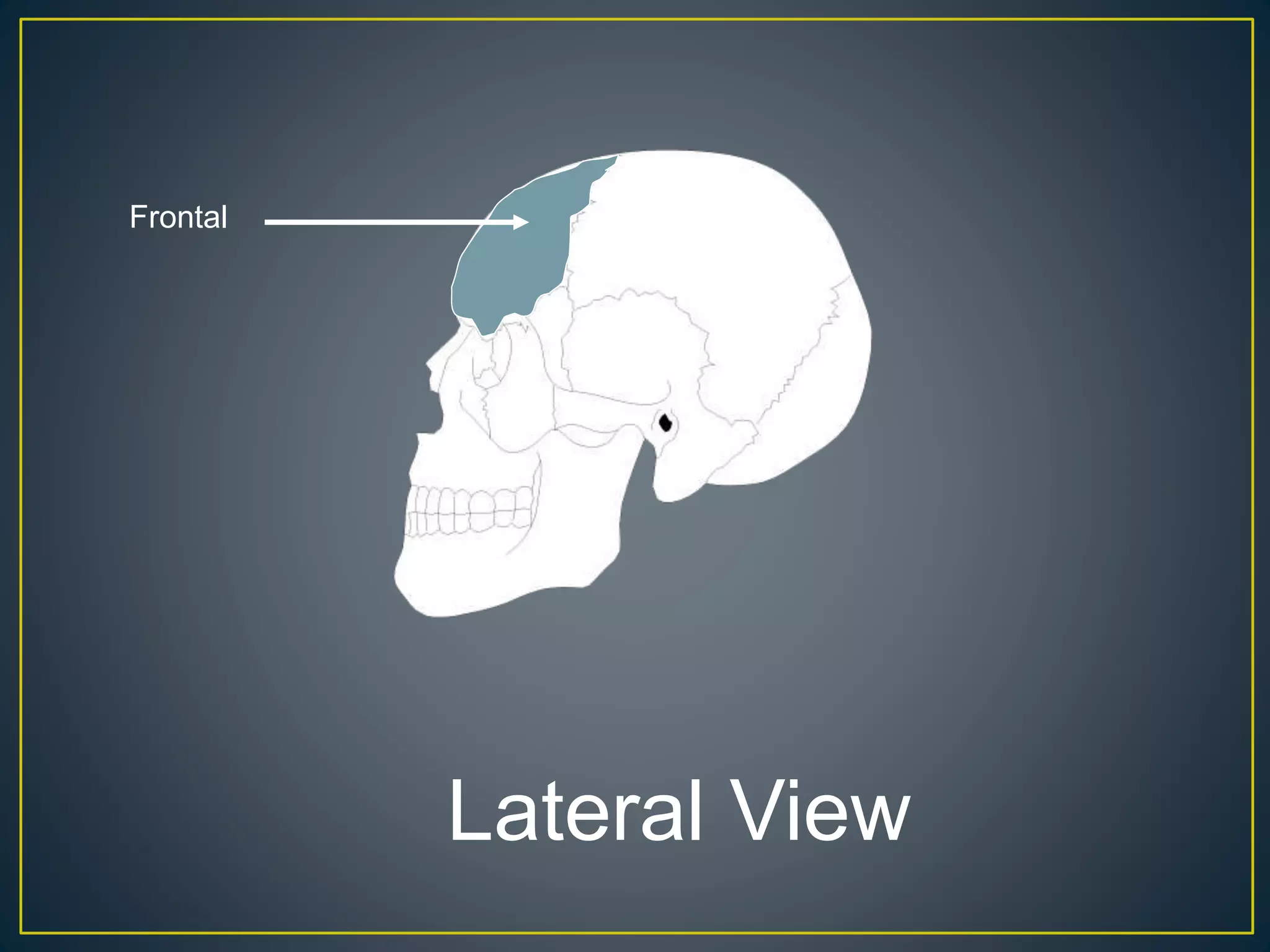 Skull fractures | PPTX