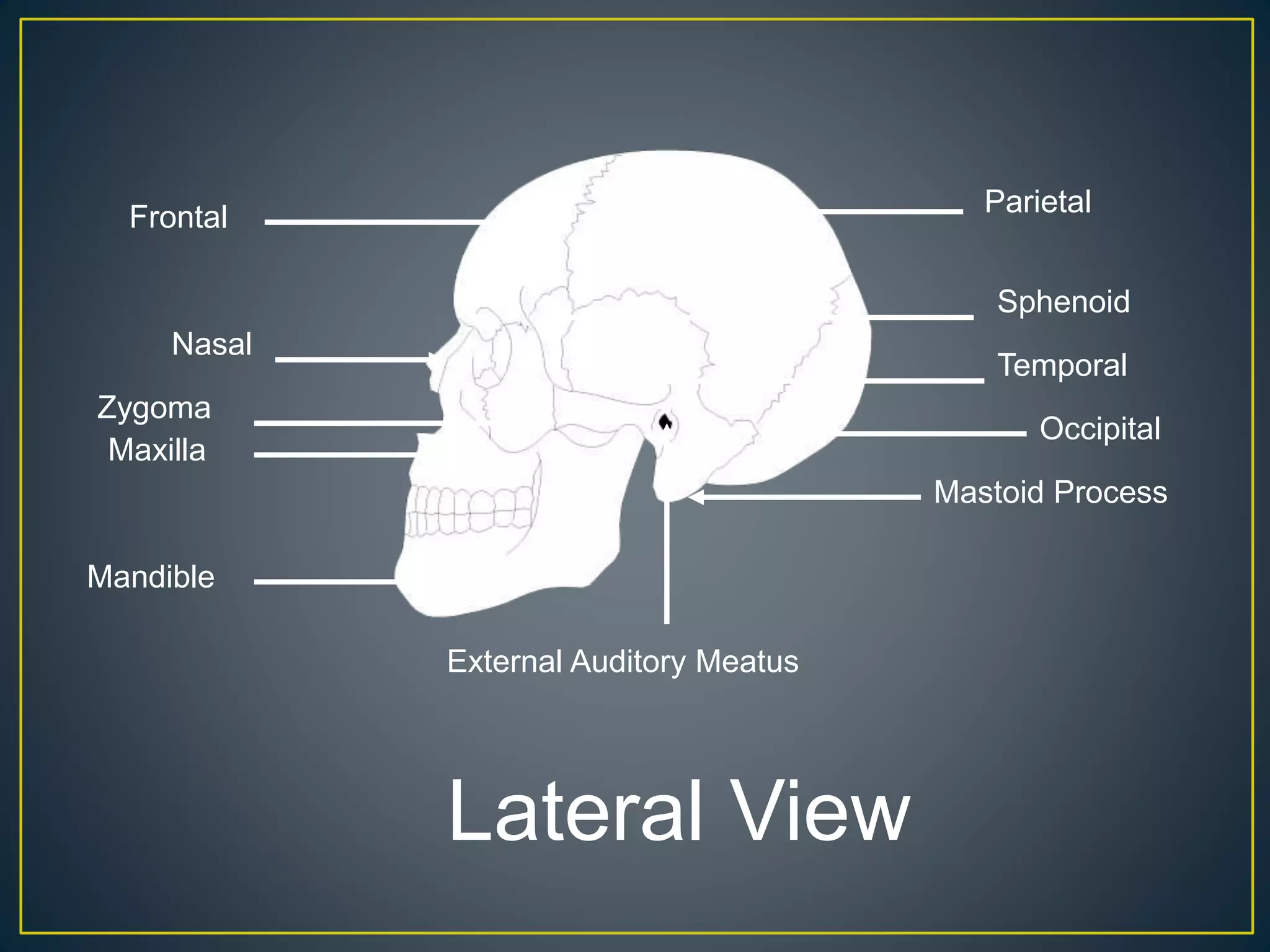 Skull fractures | PPTX