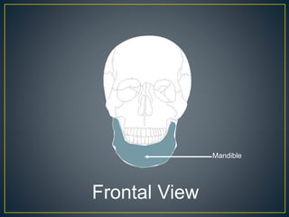 Skull fractures | PPTX