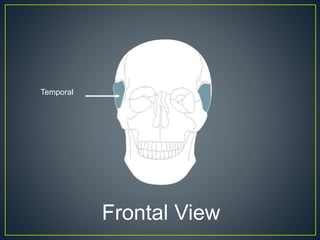Skull fractures | PPTX