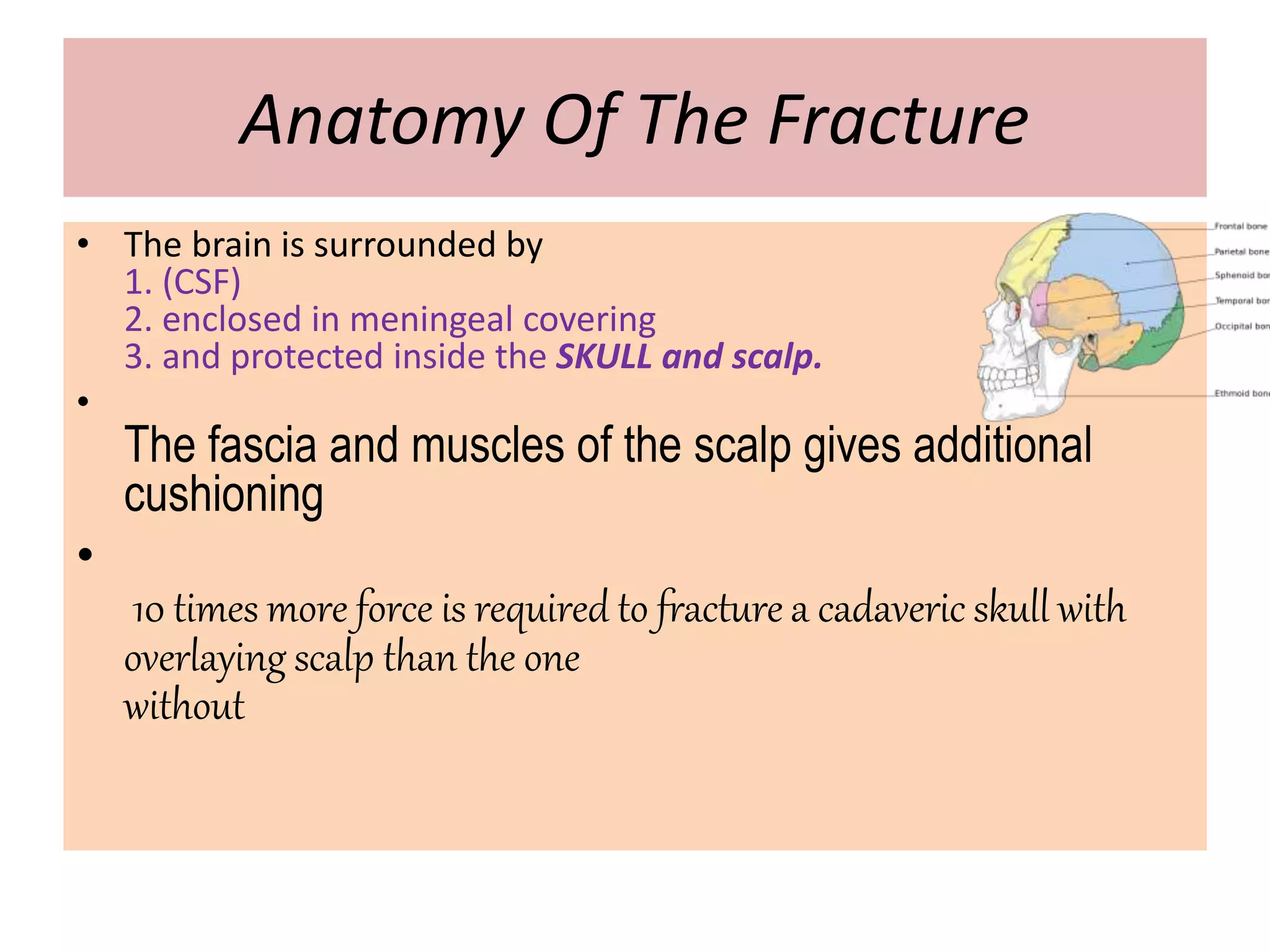 Skull fractures- forensic aspects MBsingh,S.Dhara,DrY.Hameed | PPTX