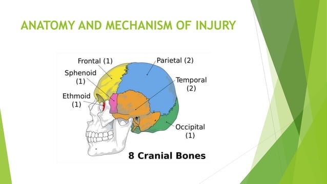 Skull fractures in adults | PPTX