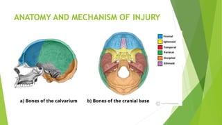 Skull fractures in adults | PPTX