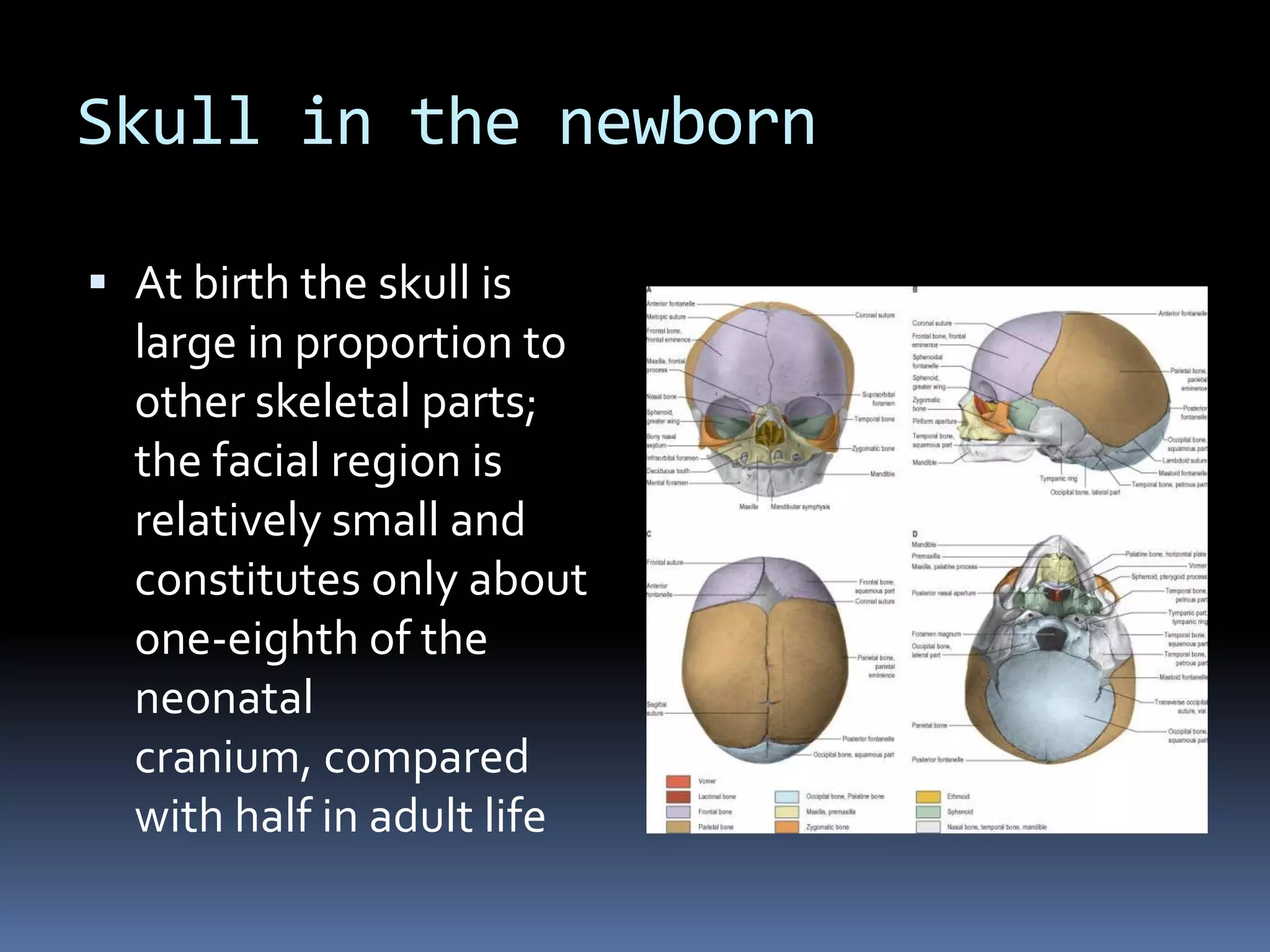 Skull in newborn by DR.ARSHAD | PPTX