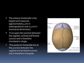 Skull in newborn by DR.ARSHAD | PPTX