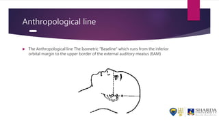 Skull landmark | PPTX