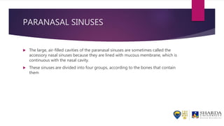 Skull landmark | PPTX