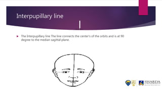 Skull landmark | PPTX