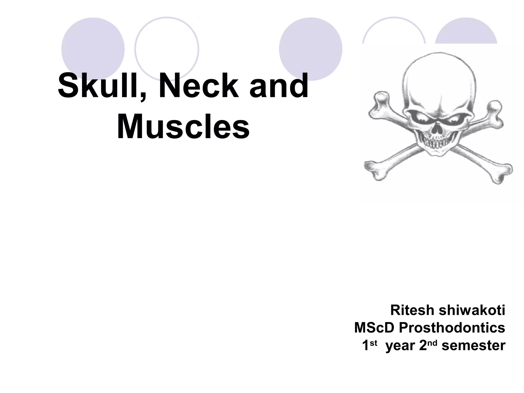 Skull, neck and muscle | PPT
