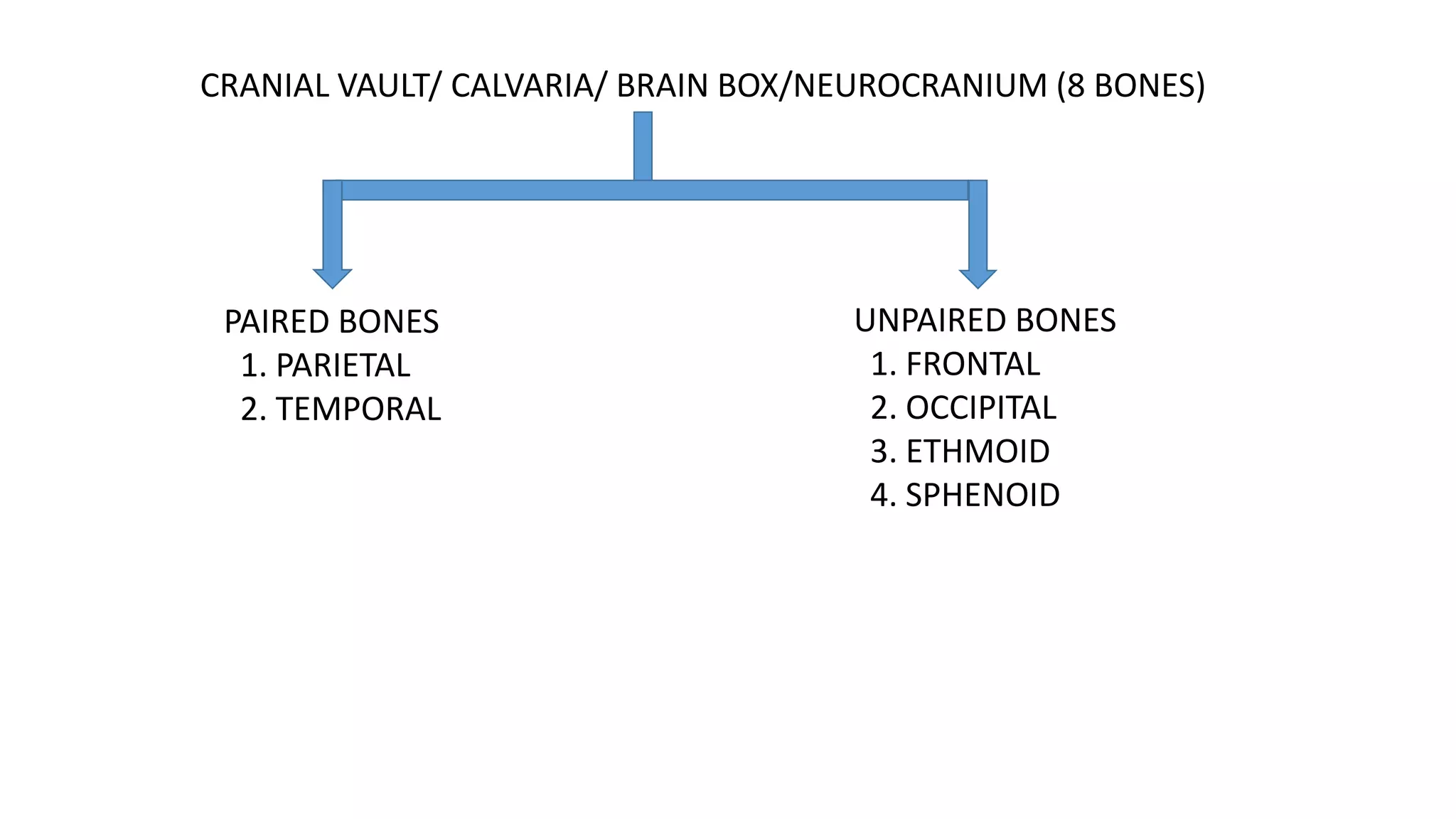 Skull,orbit temporal bones,facial bones,paranasal sinuses,mandible and ...