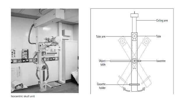 Skull,orbit temporal bones,facial bones,paranasal sinuses,mandible and ...