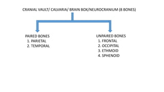 Skull,orbit temporal bones,facial bones,paranasal sinuses,mandible and ...