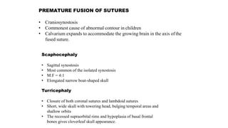 Skull pathologies on Xrays | PPTX