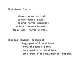 Skull pdf | PDF