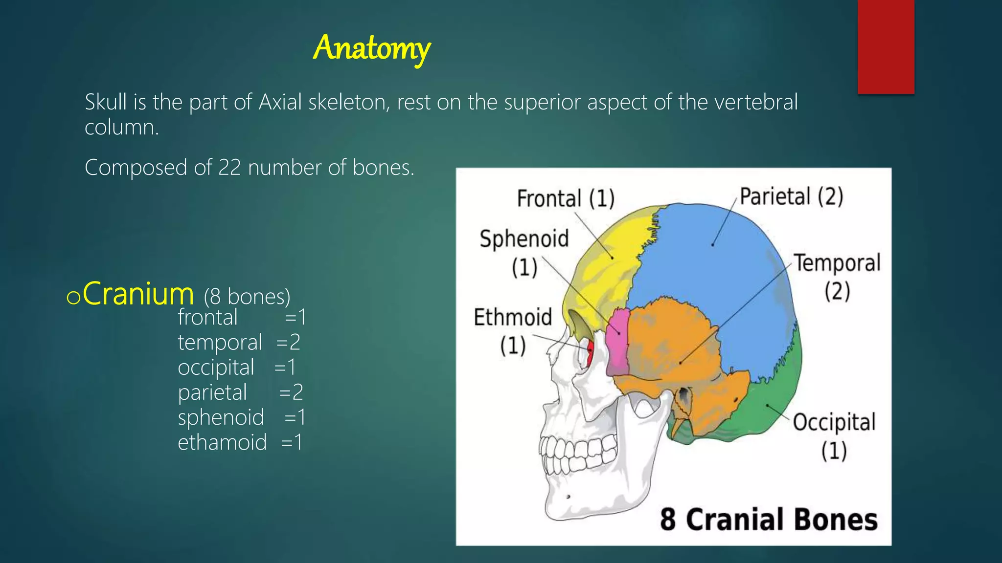 Skull radiography by sandesh Magar | PPTX