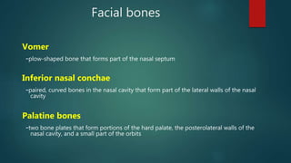 Skull radiography by sandesh Magar | PPTX