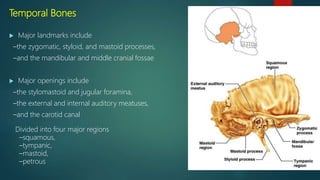 Skull radiography by sandesh Magar | PPTX