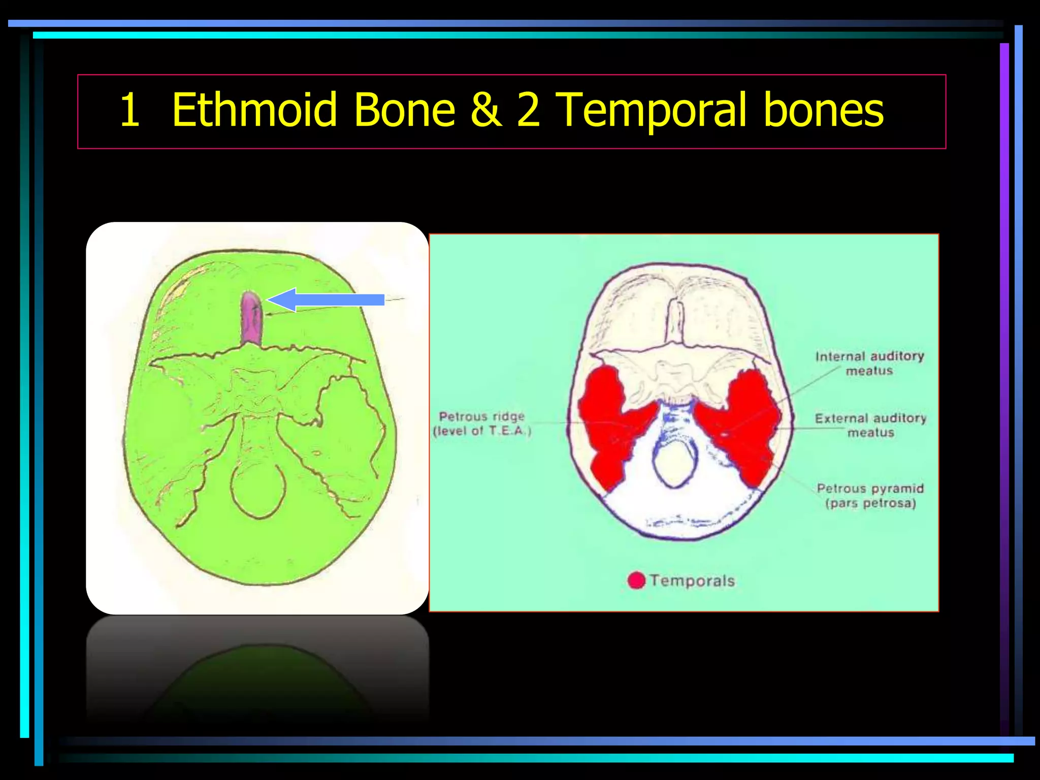 Skull radiography | PPTX