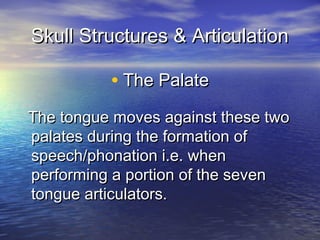 HIS 120 Skull Structure and Articulation | PPT