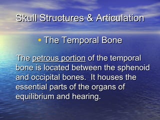HIS 120 Skull Structure and Articulation | PPT