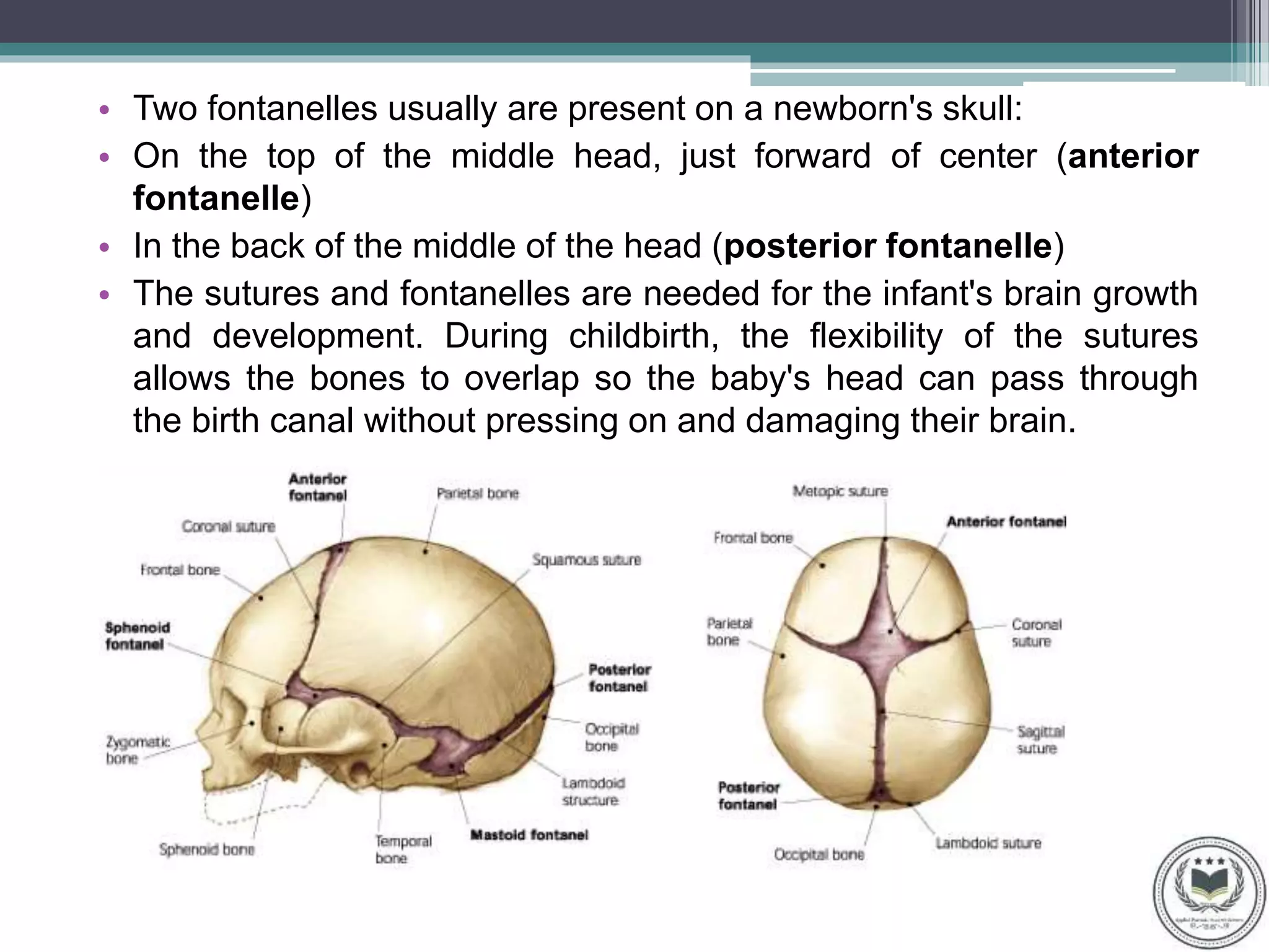 SKULL SUTURES.pptx
