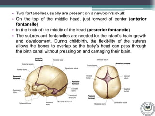 SKULL SUTURES.pptx