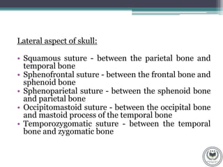 SKULL SUTURES.pptx