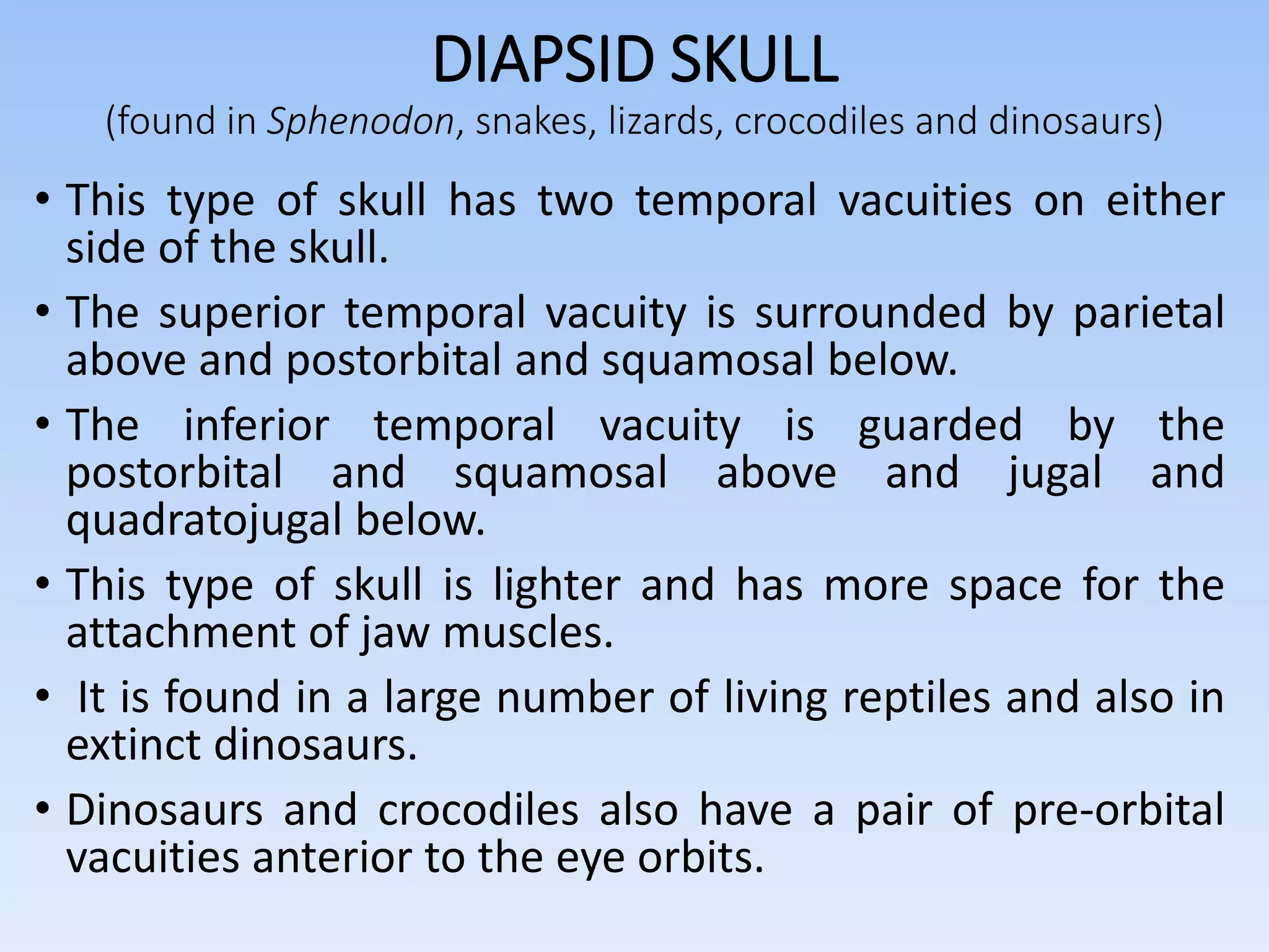 Skull typpes | PPTX