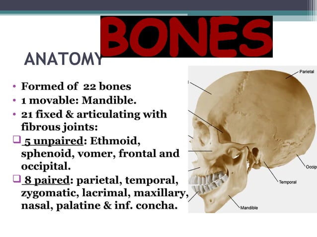 Skull x ray plain evaluations | PPT | Death, Injury, or Military ...