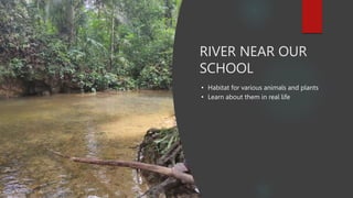 SK ULU AWIK science.pptx