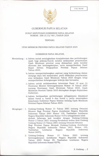 upah minimum Papua Selatan2025indohrprofesional.pdf
