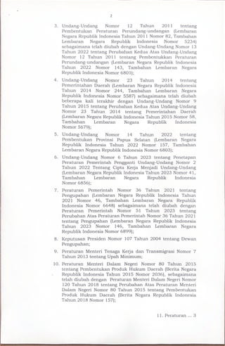 upah minimum Papua Selatan2025indohrprofesional.pdf