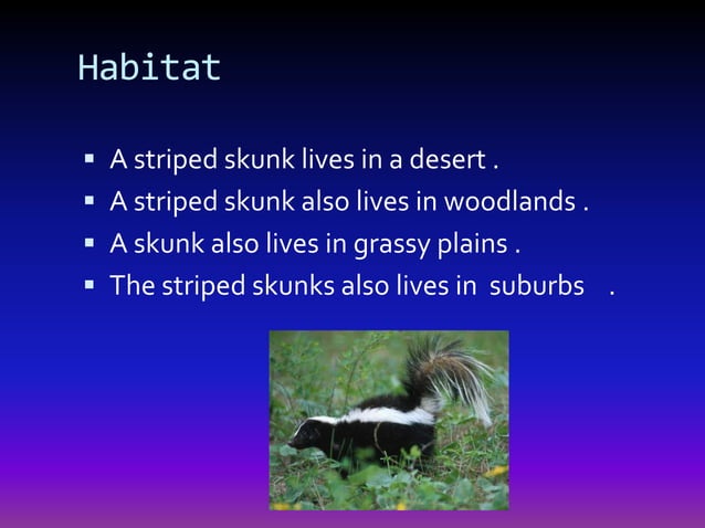 Skunk powerpoint | PPT