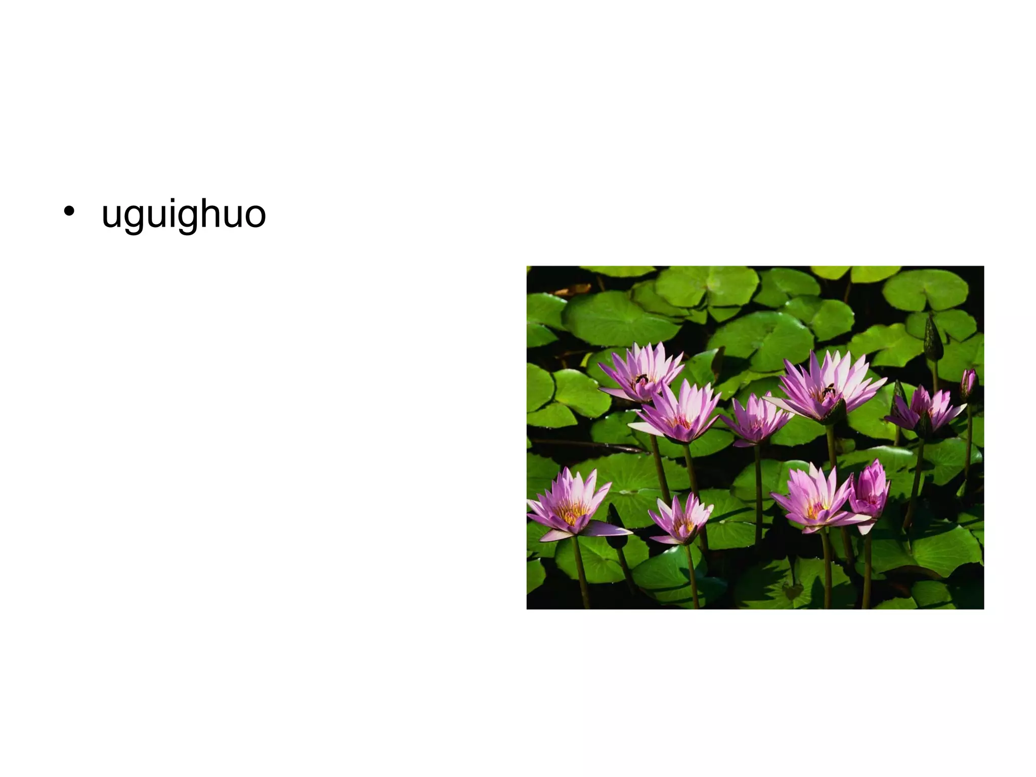 Skuska | PPT