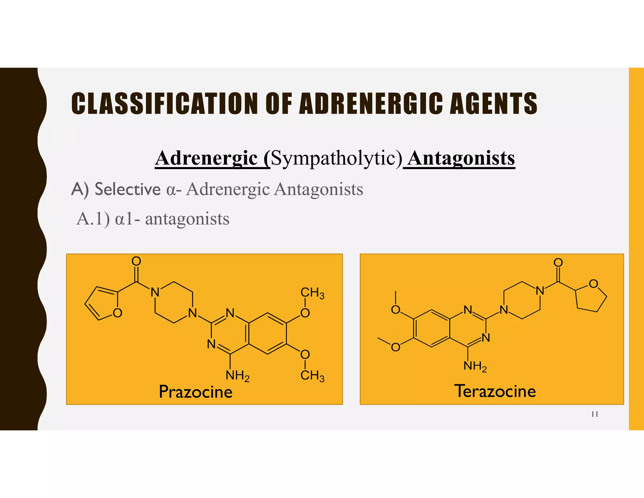 SKV Adrenergic And Cholinergic system | PPT