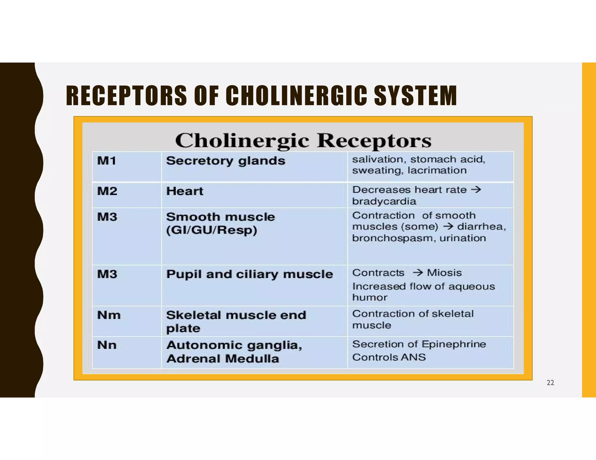 SKV Adrenergic And Cholinergic system | PPT