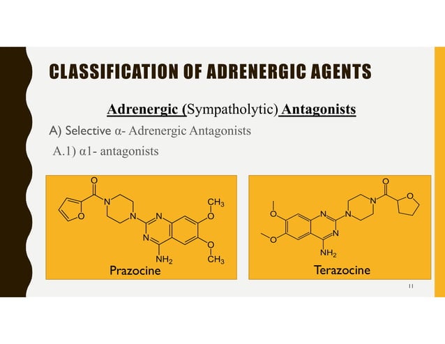 SKV Adrenergic And Cholinergic system | PPT
