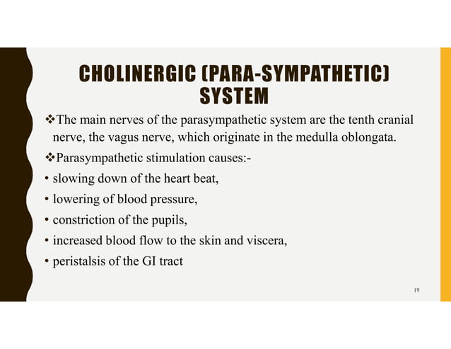 SKV Adrenergic And Cholinergic system | PPT
