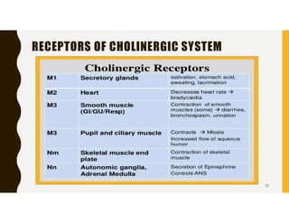 SKV Adrenergic And Cholinergic system | PPT