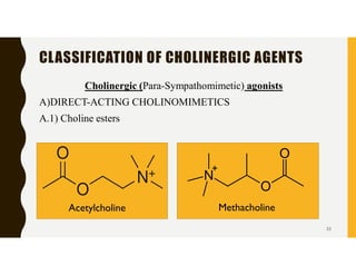 SKV Adrenergic And Cholinergic system | PPT