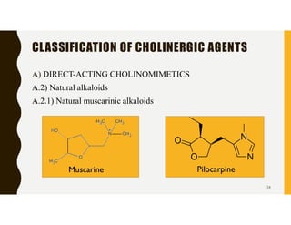 SKV Adrenergic And Cholinergic system | PPT