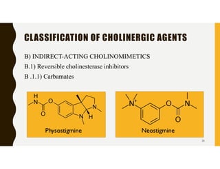 SKV Adrenergic And Cholinergic system | PPT