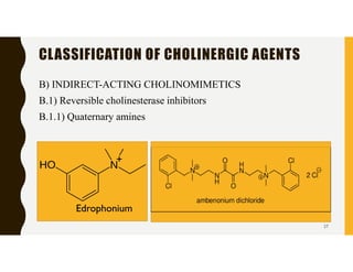SKV Adrenergic And Cholinergic system | PDF