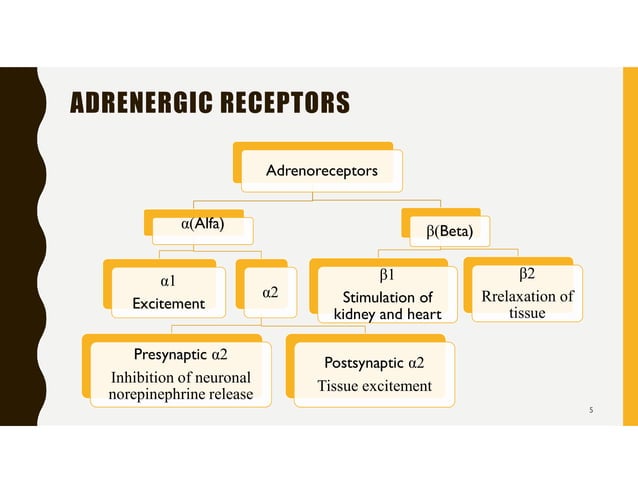 SKV Adrenergic And Cholinergic system | PPT