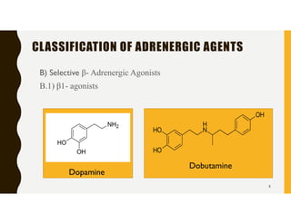 SKV Adrenergic And Cholinergic system | PPT