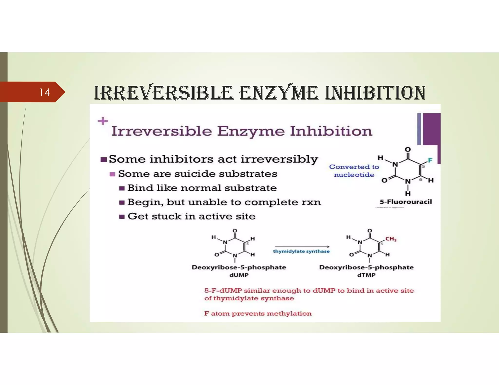 Skv Enzyme Kinetics and Principles of Enzyme Inhibition | PDF