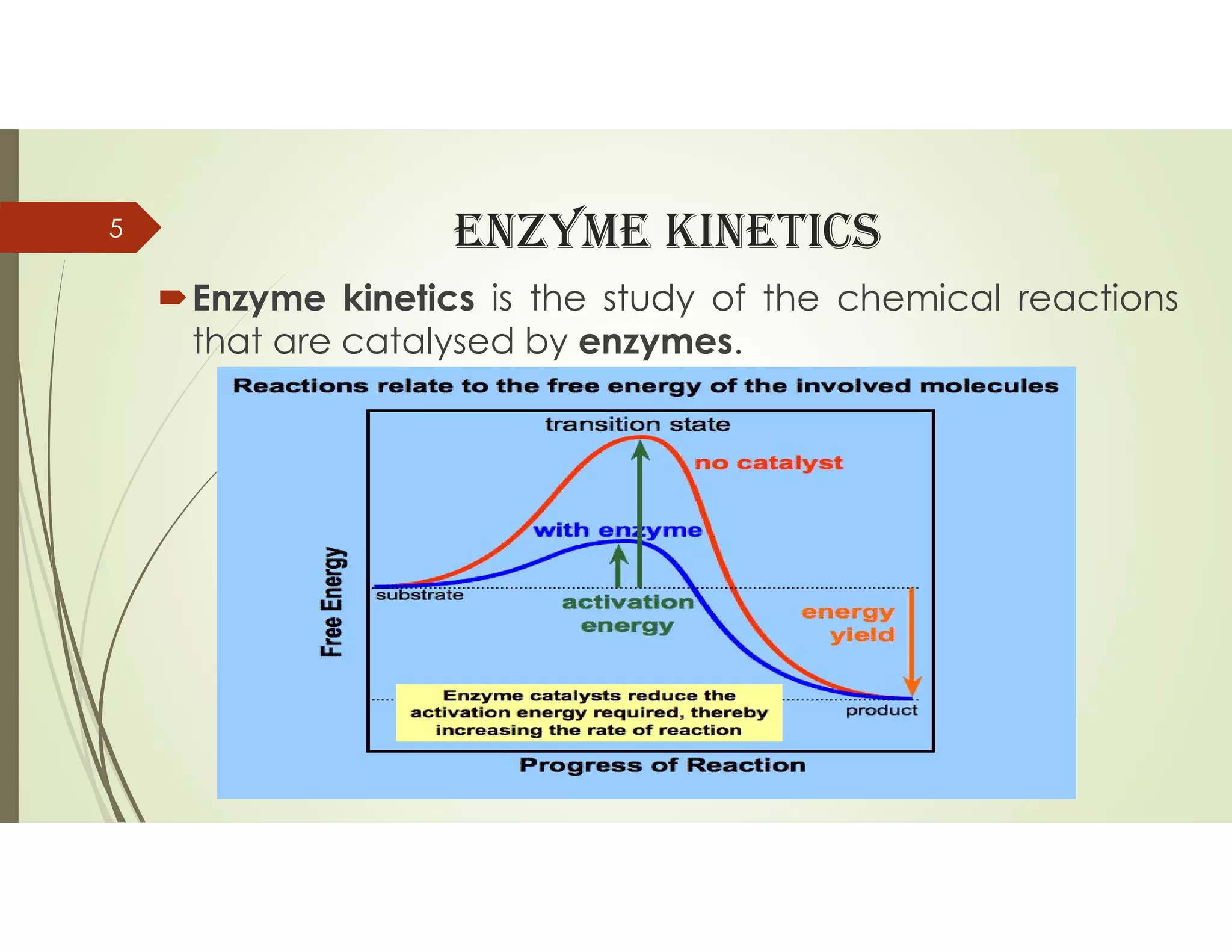 Skv Enzyme Kinetics and Principles of Enzyme Inhibition | PDF