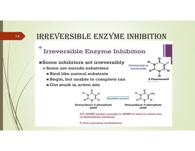 Skv Enzyme Kinetics and Principles of Enzyme Inhibition | PDF