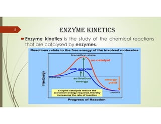 Skv Enzyme Kinetics and Principles of Enzyme Inhibition | PDF